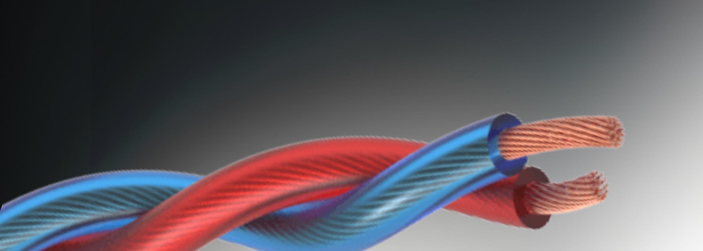 Twin-Twisted Flexible Wires